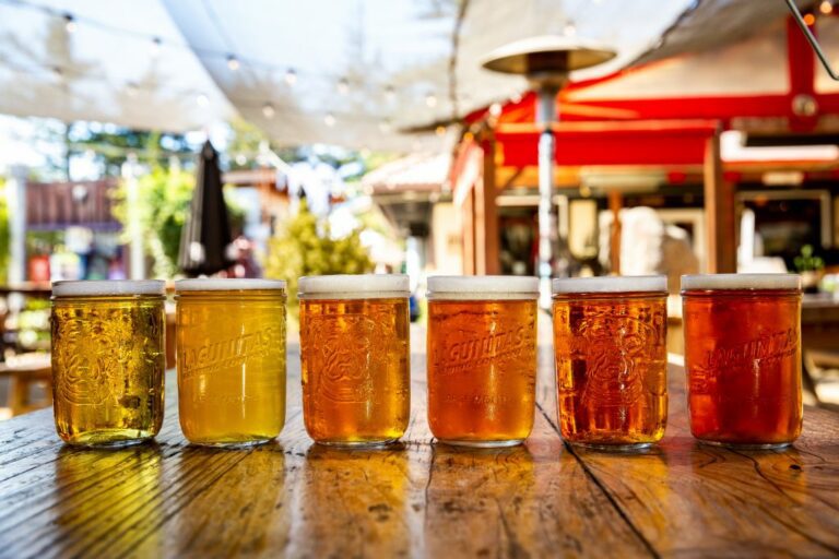 Beer 101: What is a Double IPA?