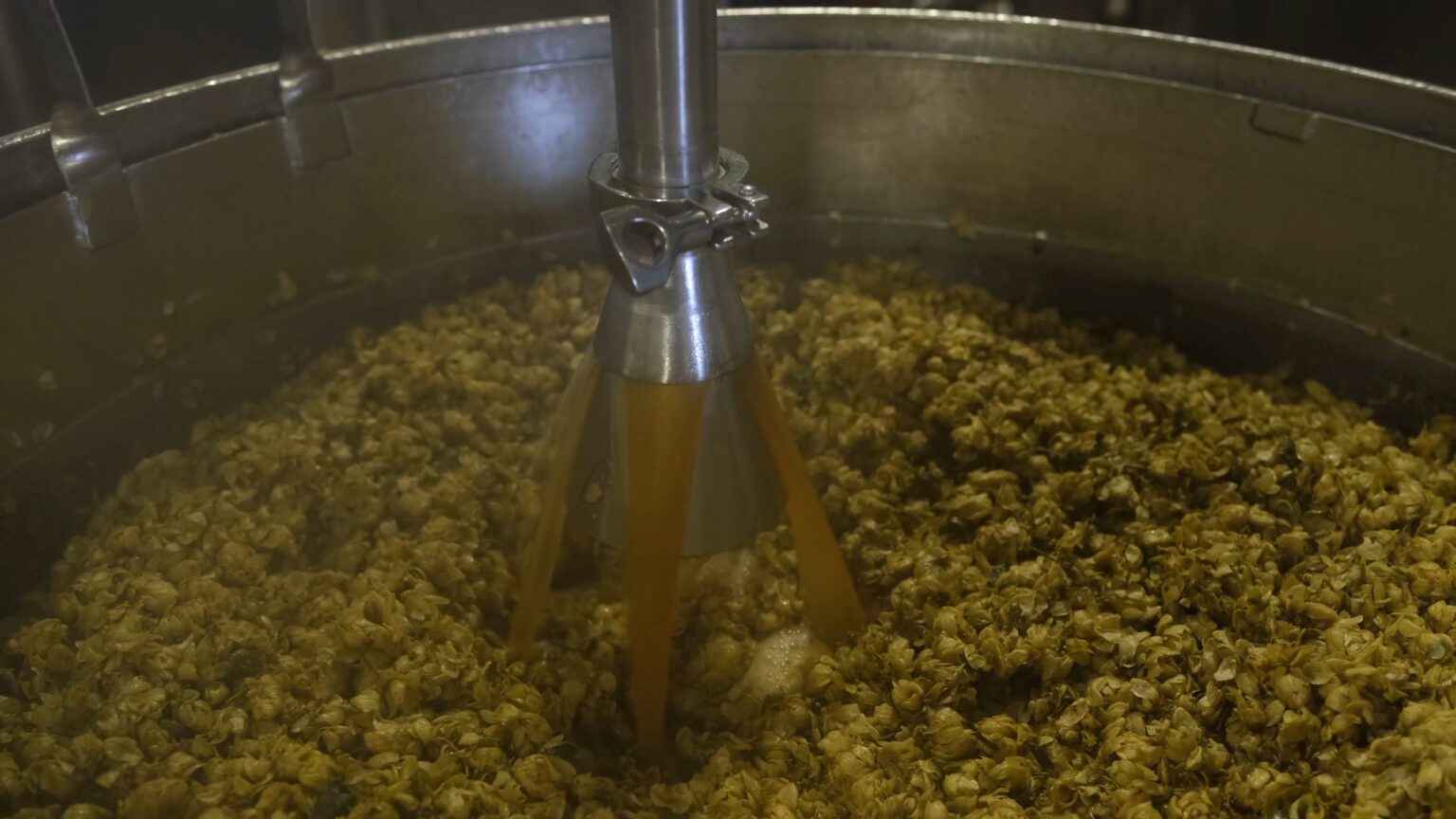 Friends In Grow Places – Lagunitas